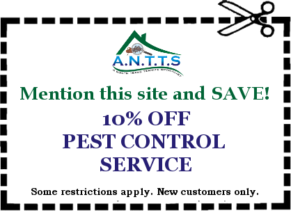 Pest Control Specials and Coupons | A North Texas Termite Specialist ...